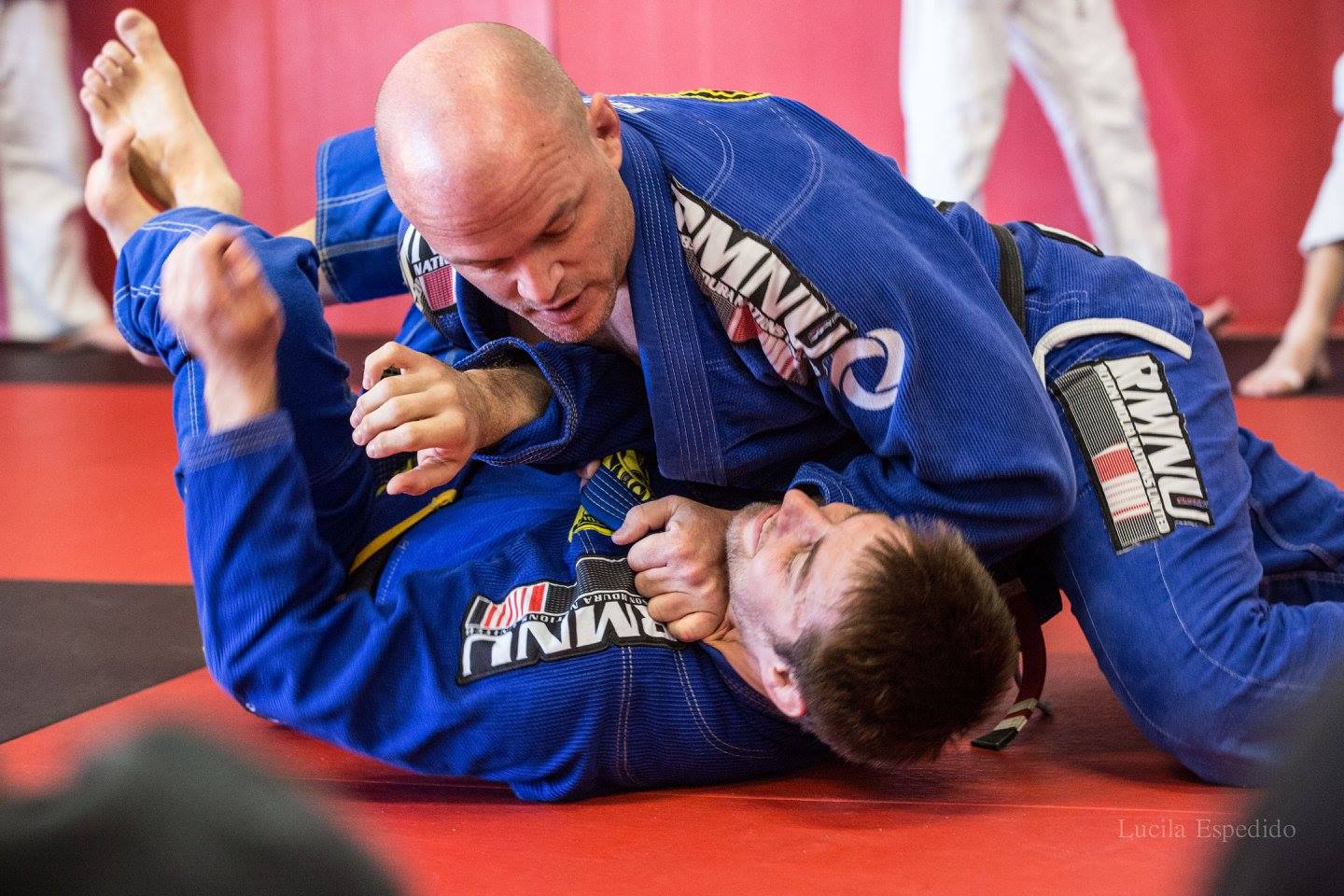 Home - Elite Jiu Jitsu